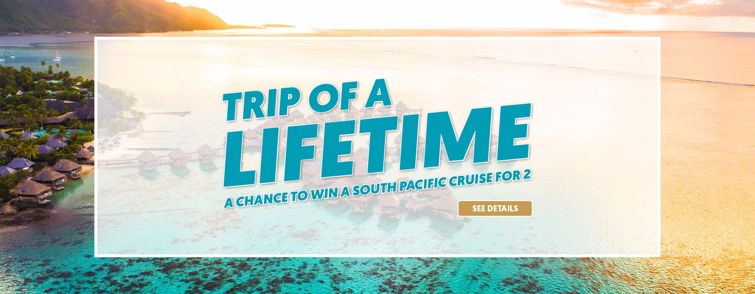 Vacations, Cruises, Tours, Flights & More! | Krista Ness